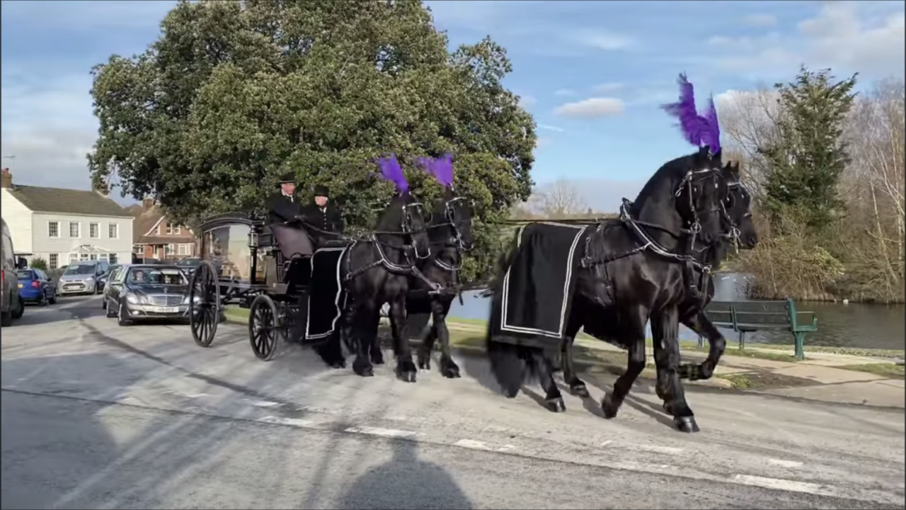 Contact Us - Maple Leaf Carriages